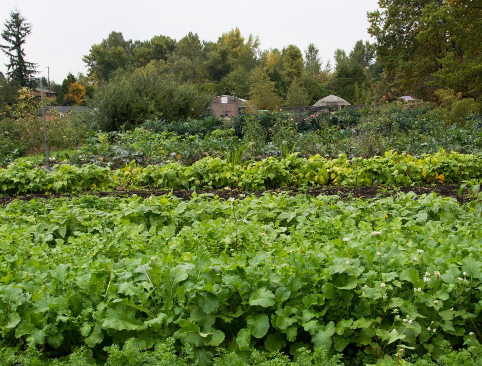 Community — Seattle Garden Club